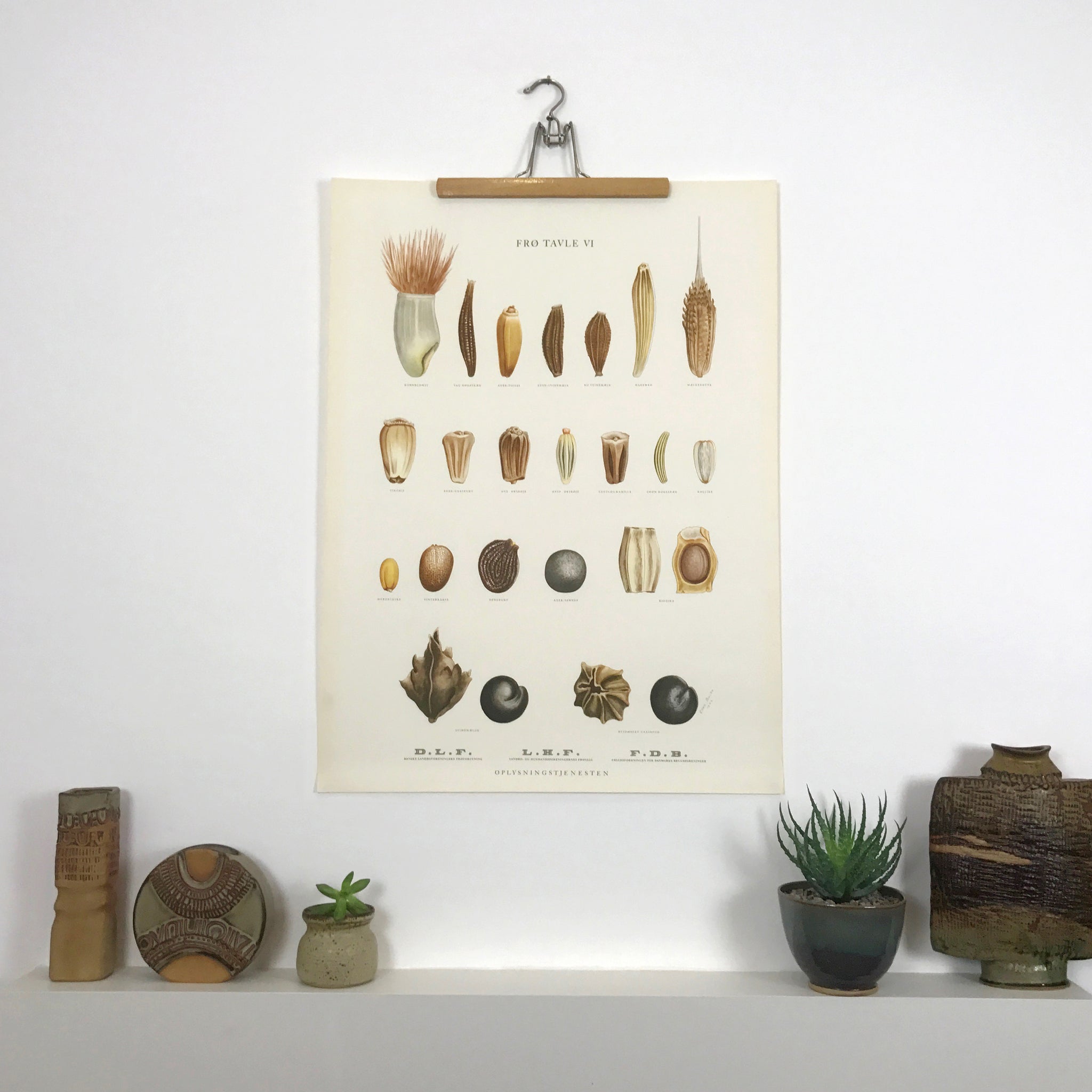 Danish Vintage Botanical Wall Chart #6a – Mustard Vintage