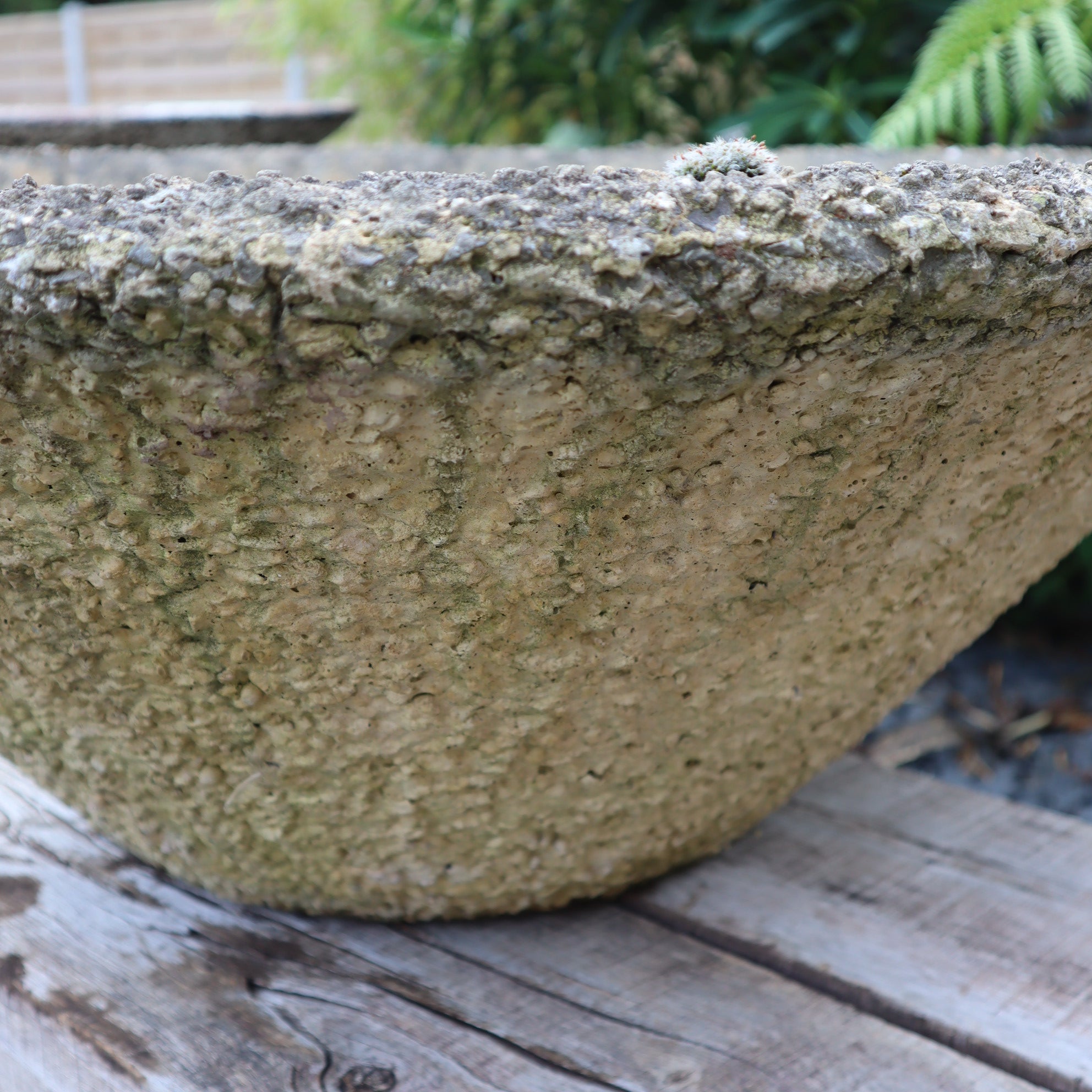 Mid Century Concrete Conical Garden Planter - 2209g – Mustard Vintage